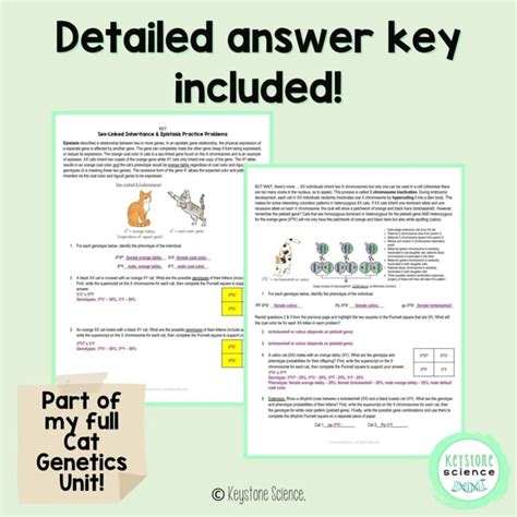 NGSS Aligned Sex Linked Cat Genetic Inheritance Patterns Worksheet