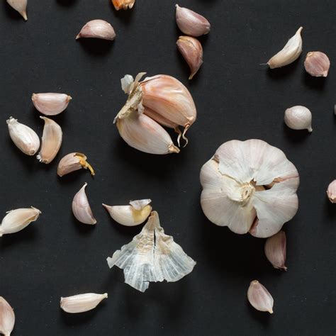 5 Best Garlic Supplements Set For Set