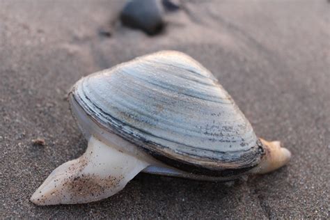 Whats Your Advice On Punching Up A Script