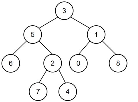 可视化图解算法35：在二叉树中找到两个节点的最近公共祖先（二叉树的最近公共祖先） Ew帮帮网