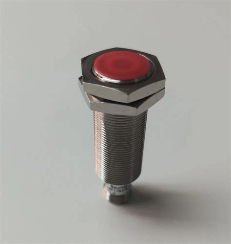 Baumer Proximity Inductive Sensor V NPN At In Ahmedabad ID