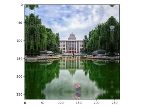 tf scipy misc 模块 tf image 模块 图片 padding 和 剪裁 csdn博客