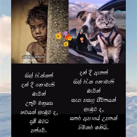 හොඳ පුරුදු ඇතිකර ගනිමු 💯 Youtube