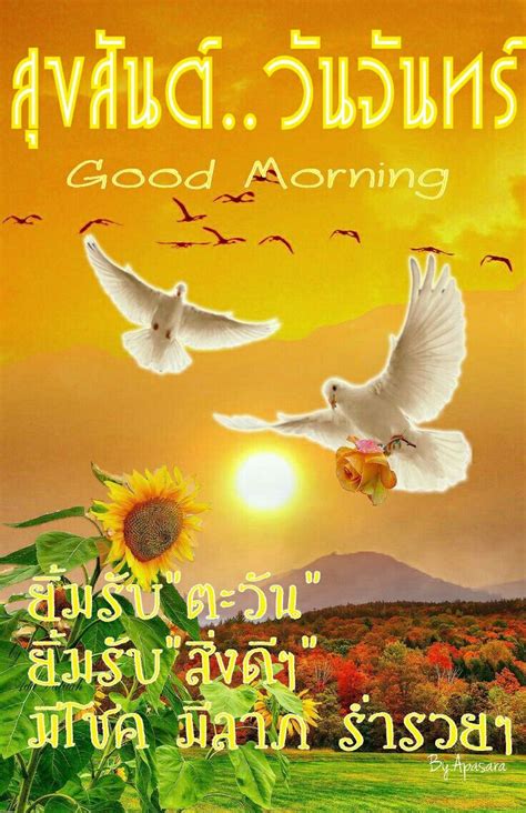 ปักพินในบอร์ด สวัสดีวันจันทร์ สวัสดีตอนเช้า ดอกไม้สีม่วง สุขสันต์วันจันทร์