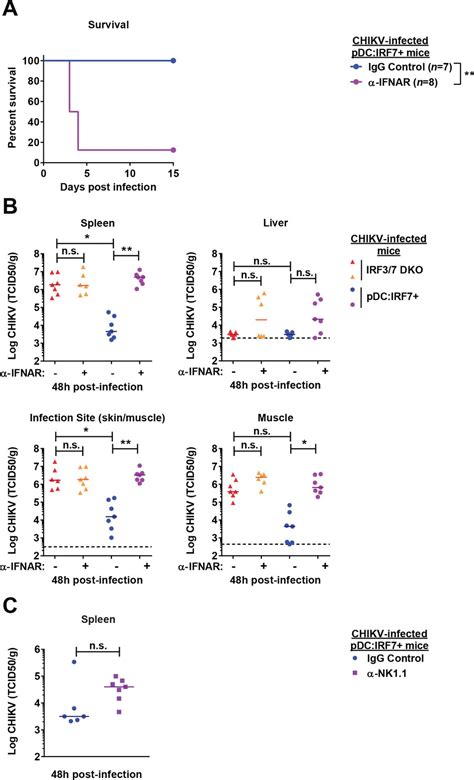 Figures And Data In Plasmacytoid Dendritic Cells Control Dengue And Chikungunya Virus Infections