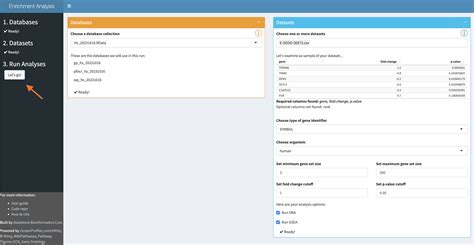 Functional Enrichment Analysis