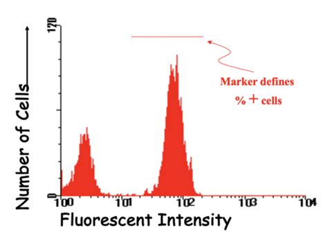 Flow Cytometric Fcm Analysis In Hematology Flashcards Quizlet