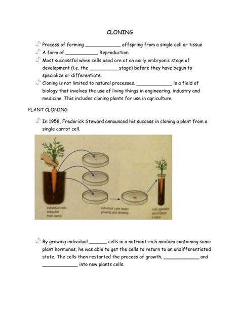 Plant Cloning Process