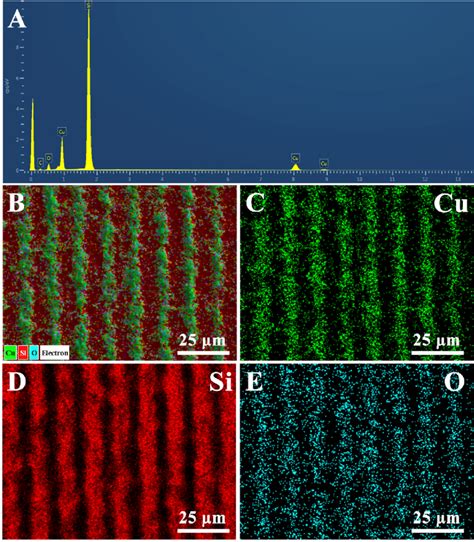 Eds Image A Of The 3d Cu 15 50 The Whole Eds Mapping Image B And Download Scientific