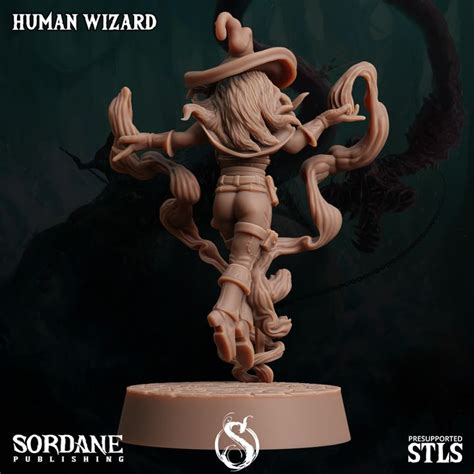 3d Printable Human Wizard By Sordane Publishing