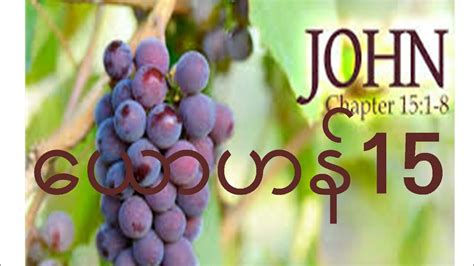 John 15 ရှင်ယောဟန်ခရစ်ဝင် ၁၅ ရုပ်ပုံအားဖြင်ရှင်ပြထားပါသည်။ Youtube