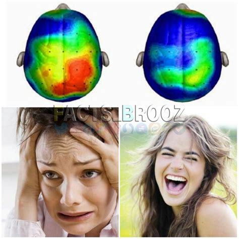 مغز انسان بعد از قرار گرفتن در محیط یا شرایط استرس آور به عکس ویسگون