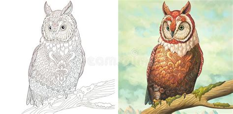 带猫头鹰的彩色页面及水彩画 向量例证 插画 包括有 投反对票 例证 乱画 艺术 人类学 图象 188319247