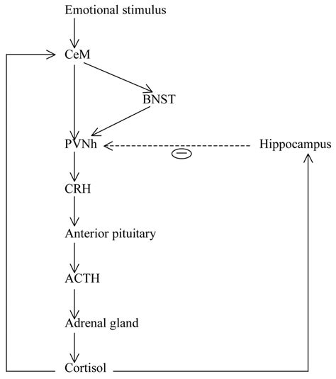 The Effects Of Emotional Stimulation On The Hpa Axis An Emotional Download Scientific Diagram