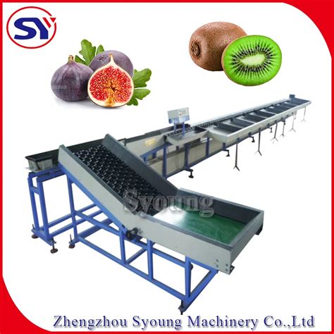 Electronic Fruitandvegetable Sorter Grader Weight Sorting Grading Machine Weight Grading Machine