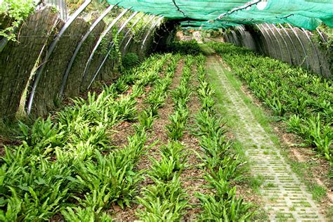 Перевірено на собі : Новинки украинского рынка от Weleda