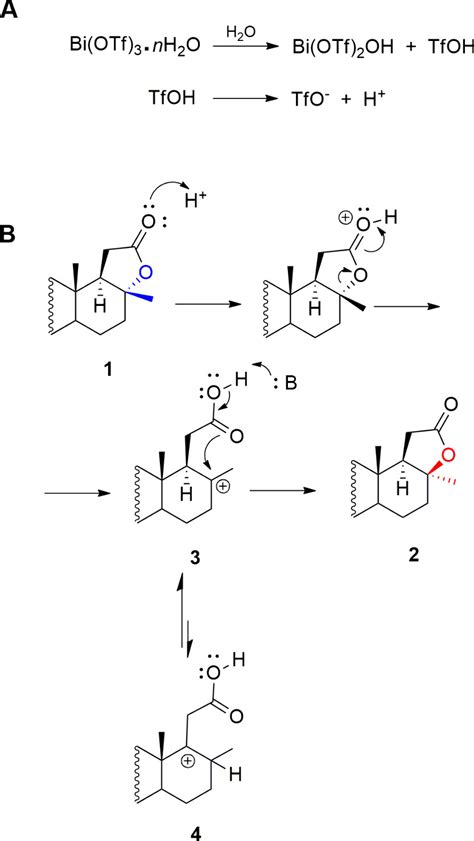 Facile Epimerization Of Sclareolide A Versatile Experiment For