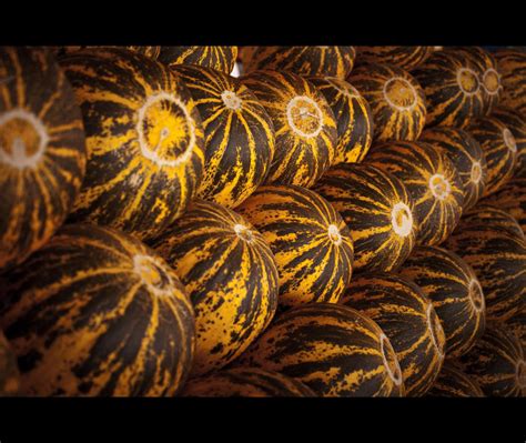 Striped Melon By Mini Ilse On Deviantart