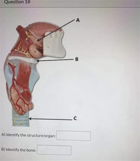 Solved B A Identify The Structure B Identify The Chegg