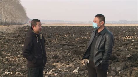 兴旺乡扎实推进秋整地工作澎湃号·政务澎湃新闻 The Paper