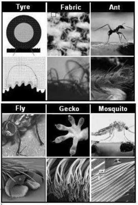 Microstructure Of Fibrous Surface Download Scientific Diagram