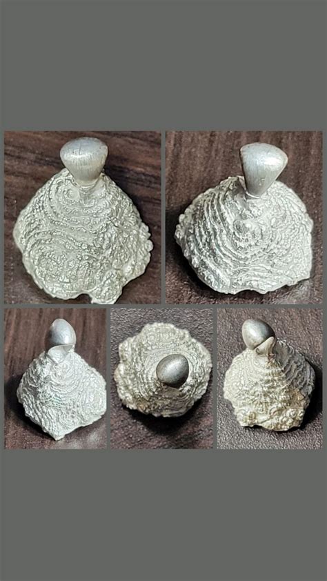Beekite Covered Horn Coral Replicated Using Pmc3 To Create Fine Silver