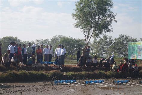 ထန်းတပင်မြို့နယ်၌ မျိုးစေ့ချကိရိယာ Seeder ဖြင့် နွေစပါးလက်တွေ့စိုက်ပျိုးပြသကာ တောင