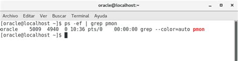 Terminal Vim Inside Screen Indentation Displayed Incorrectly Unix