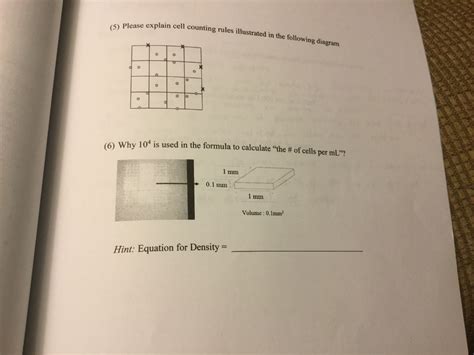 Solved Explain Cell Counting Rules Illustrated In The Chegg Com