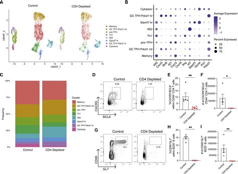 Spatial Transcriptomics Demonstrates The Role Of Cd4 T Cells In