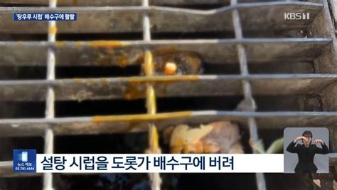 탕후루 설탕물 도로 배수구에 버린 업체 ㄷㄷㄷ 포텐 터짐 최신순 에펨코리아