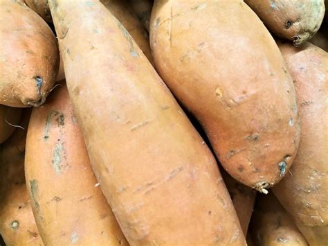 Premium Photo Batata Batatas Sweet Potato Or Sweetpotato Lat Ipomoea Batatas Root