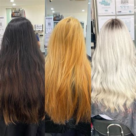 Bleached Hair Before And After
