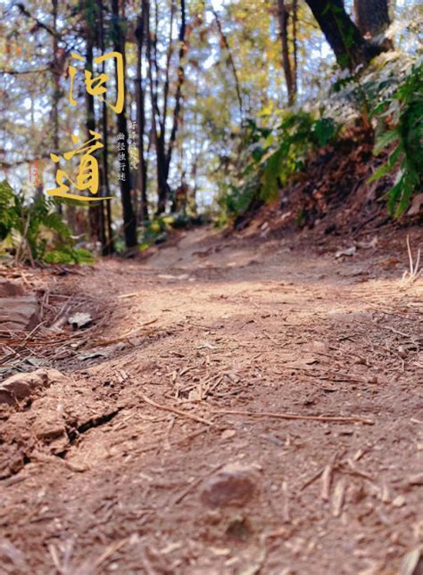 Javascript 庸常之中，微芒不朽 2022年终总结 个人文章 Segmentfault 思否