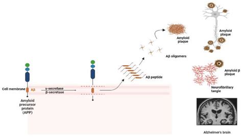 Screening For Novel Inhibitors Of Amyloid Beta Aggregation And Toxicity As Potential Drugs For