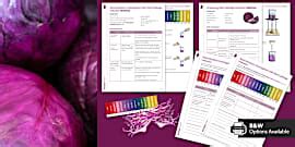 Red Cabbage Indicator Science Beyond Secondary