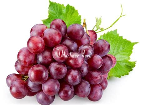 Ruby Seedless Viveros J Martinez Marti S L