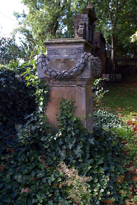 远古的 坟墓 哥特式风格 垂直画幅 人类骨架 骨骼 古典式 墓地 人头骨 摄影