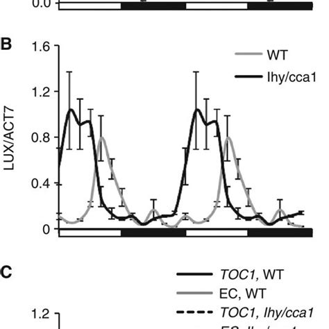 The Role Of Gi In The Regulation Of Toc1 Expression By The Evening