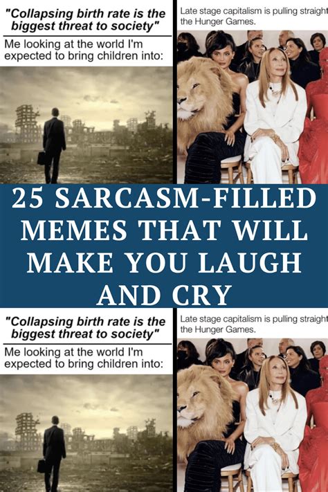25 Sarcasm Filled Memes That Will Make You Laugh And Cry Artofit