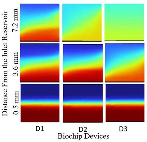 Concentration Contour Plot In The Different Biochip Devices D1 D2 And Download Scientific