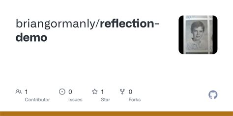 github briangormanly reflection demo