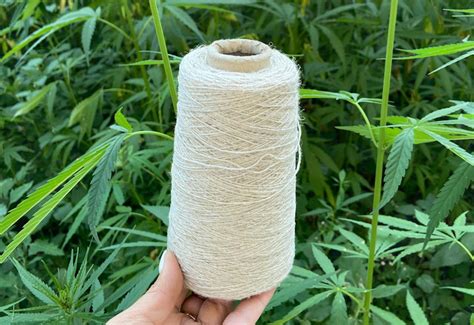 На Сумщині з конопляного чи лляного котоніну створюють класне волокно — Агробізнес сьогодні