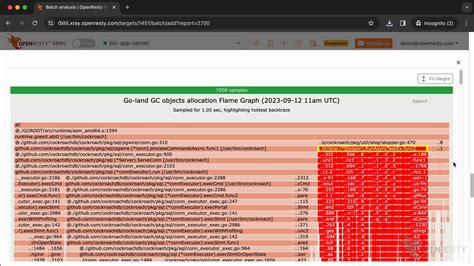 Cpu 时间是如何耗费在 Go 的 Cockroachdb 中的（使用 Openresty Xray） Openresty 官方博客