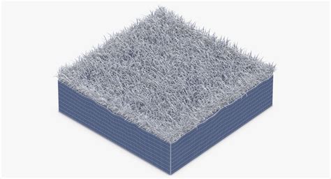 3d Model Grass Cross Section 01 Turbosquid 1320696
