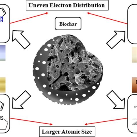 The Influence Of Four Kinds Of Heteroatom Doping On Biochar Download Scientific Diagram