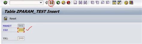 Conversion Routines Sapcodes