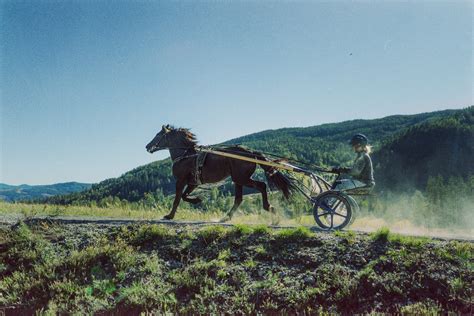 Rørosmartnan En Reise Tilbake I Tid