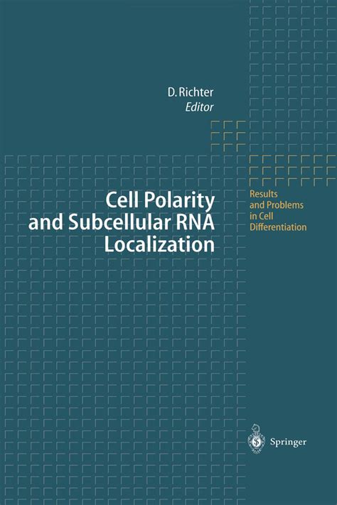 Cell Polarity And Subcellular Rna Localization Ebook By Epub Rakuten Kobo United States