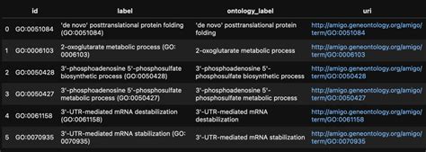 Knowledge Graph Databases And The Cypher Query Language